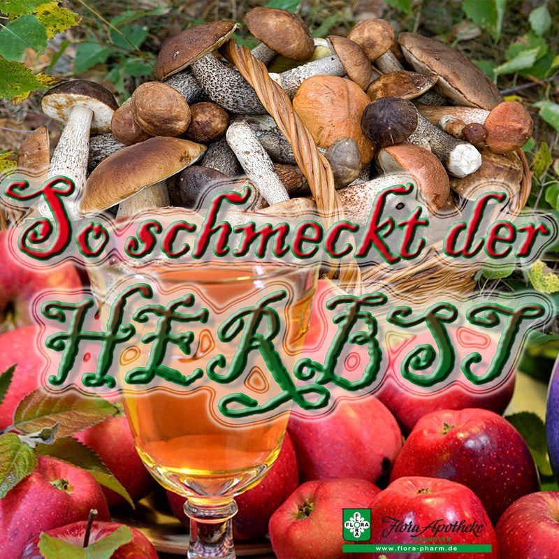 So schmeckt der Herbst! - Flora Apotheke Hannover So schmeckt der Herbst! - Flora Apotheke Hannover